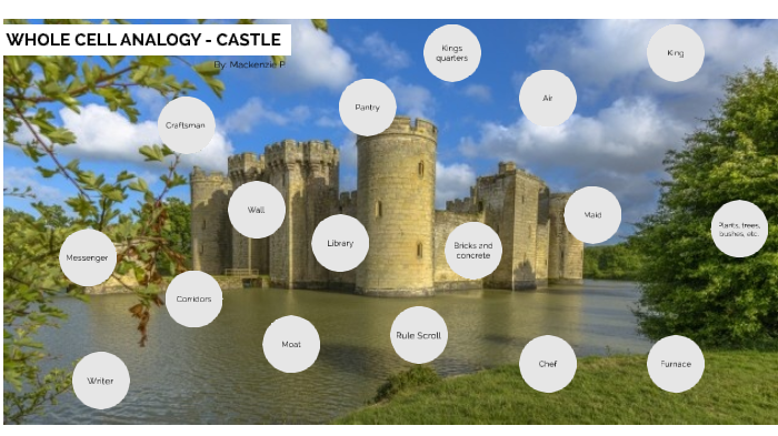 Whole Cell Analogy - Castle by Mackenzie Posey on Prezi