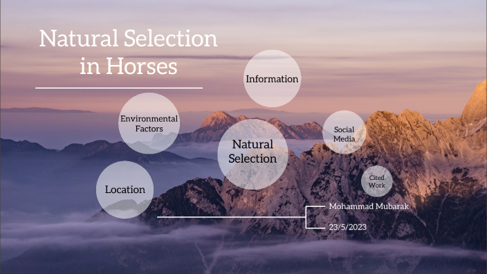 Natural Selection in Horses by Mohammad Rasheedi on Prezi