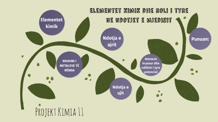 Elementet kimik dhe roli i tyre ne ndotjen e mjedisit by silva biba on ...
