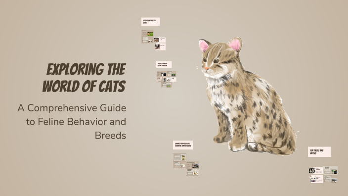 Exploring the World of Cats by MARIA MĂGUREANU on Prezi
