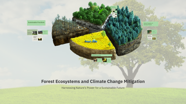 Forest Ecosystems and Climate Change Mitigation by Priyanka Sood on Prezi