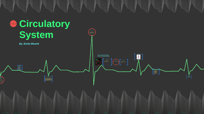 Circulatory System by Emily Mlnarik on Prezi