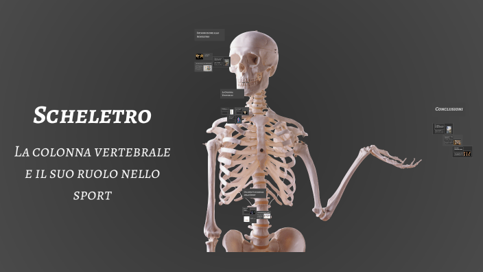 Scheletro by Evelyn on Prezi