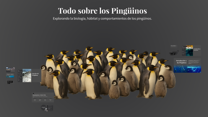 Todo sobre los Pingüinos by Gabriel López de la Iglesia on Prezi