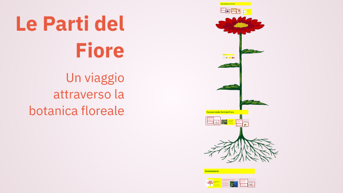 Le Parti del Fiore by Maria Saporito on Prezi