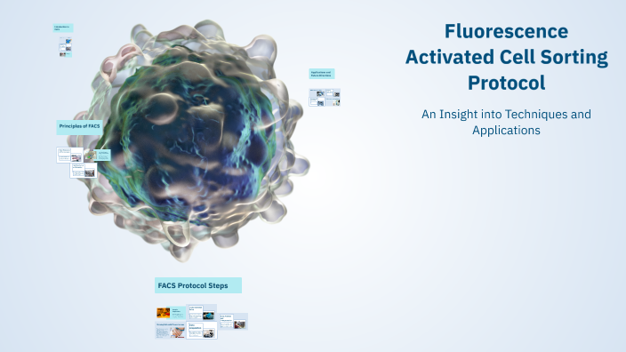 Fluorescence Activated Cell Sorting Protocol by Dr. Shweta on Prezi