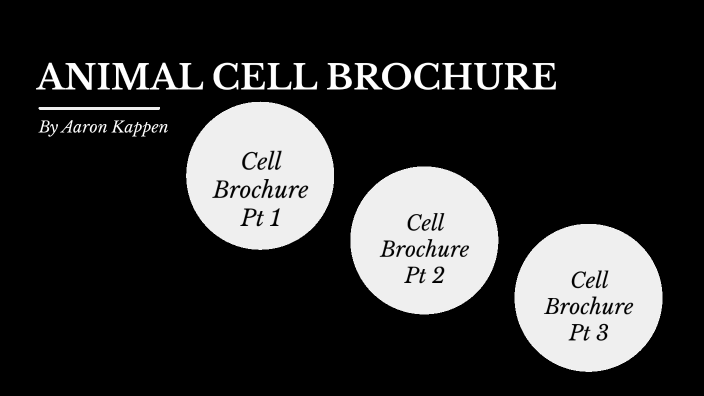 Animal cell brochure by Aaron Kappen on Prezi