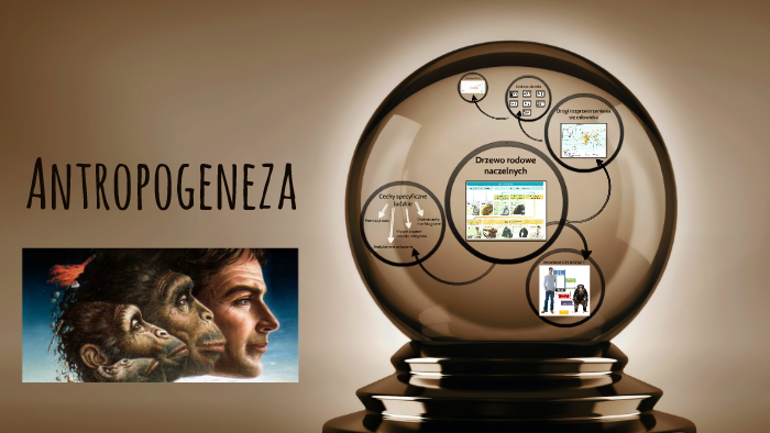 Antropogeneza by Marta J on Prezi