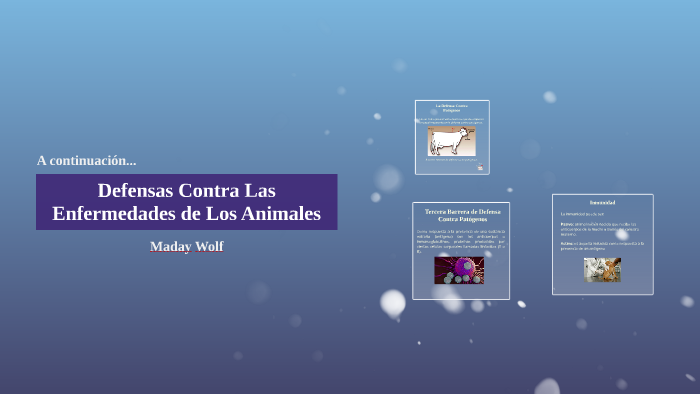 Defensas Contra Las Enfermedades de Los Animales by Maday Wolf on Prezi