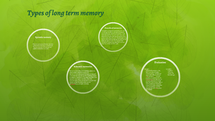TYPES OF LONG-TERM MEMORY by Beth Greenwood on Prezi