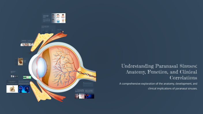 Understanding Paranasal Sinuses: Anatomy, Function, and Clinical ...