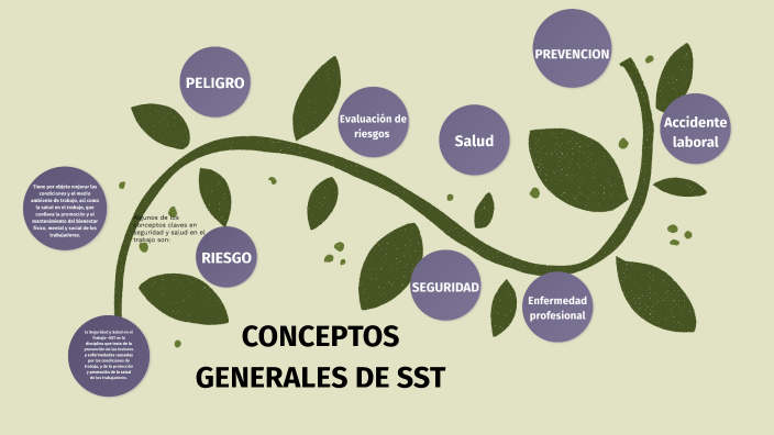 Conceptos generales de SST by maria avila on Prezi
