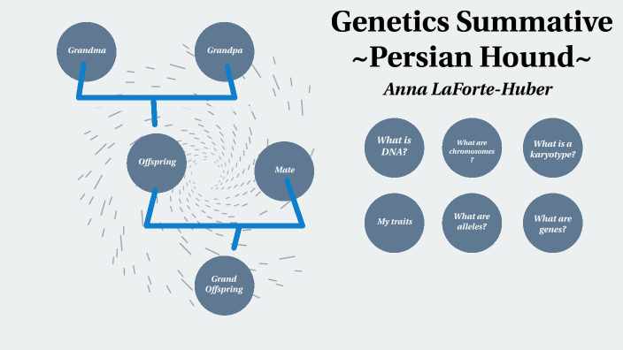 Genetics Summative Project by Anna LaForte-Huber on Prezi