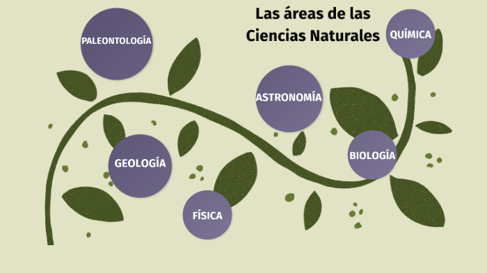 Las áreas de las Ciencias Naturales by Cami Bartol on Prezi