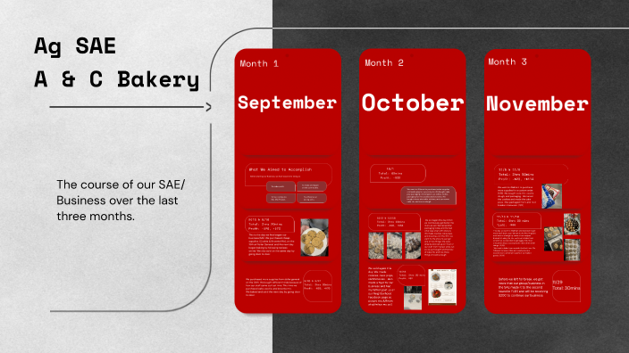 SAE Project by Christina Carter on Prezi