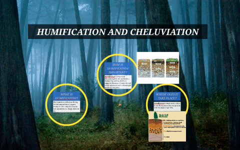 HUMIFICATION AND CHELUVIATION by Brithney Duncan on Prezi