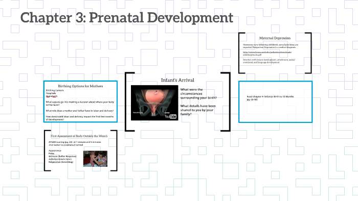 Chapter 3: Prenatal Development by Jamie Rouse on Prezi