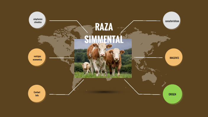 simental by celeste lopez on Prezi