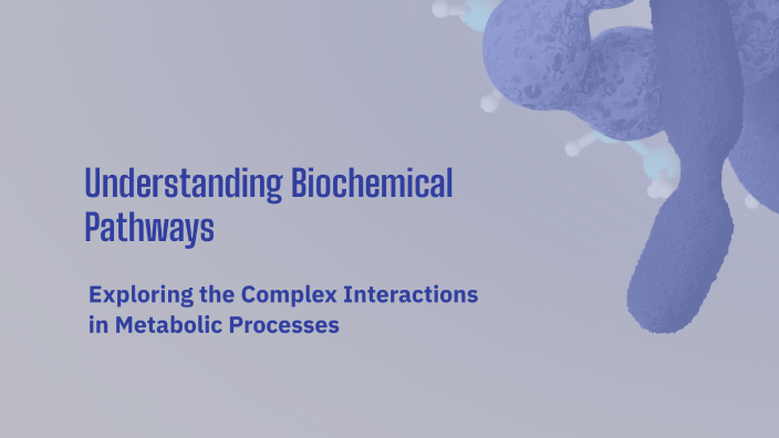 Understanding Biochemical Pathways by lanya amanj on Prezi