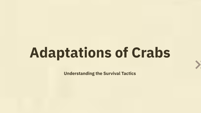 Adaptations of Crabs by Camryn LaCaze on Prezi