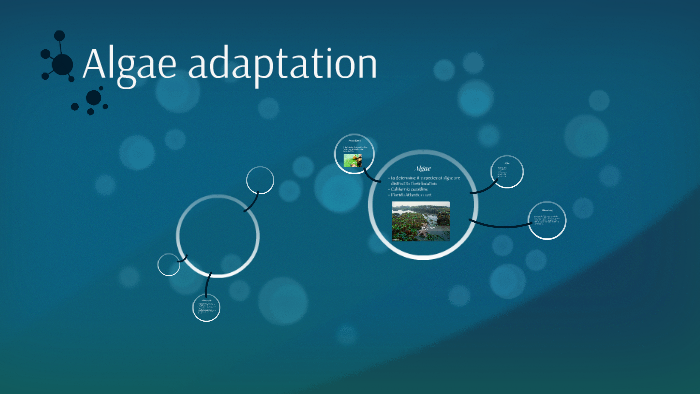 Algae adaptation by Jeffrey Ran on Prezi