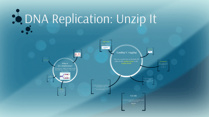 DNA Replication: Unzip It by Kassity Winchester on Prezi