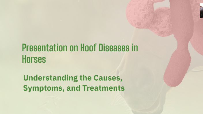 Presentation on Hoof Diseases in Horses by caroline tegner on Prezi