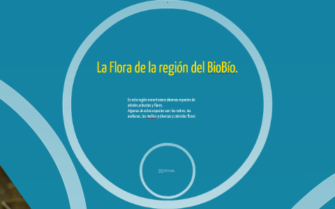 La Flora de la región del BioBío. by ines detzel on Prezi