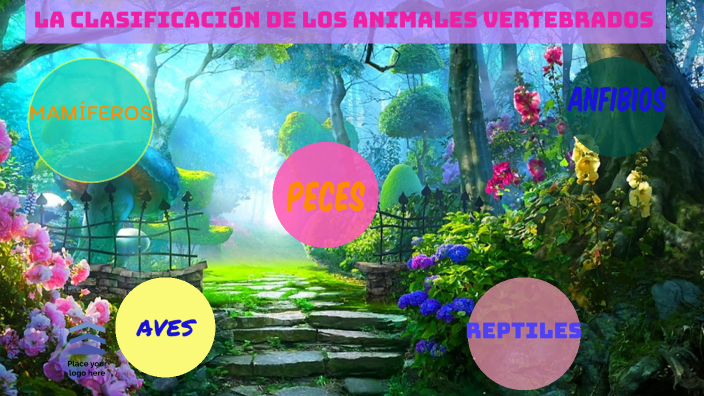 CLASIFICACIÓN DE LOS ANIMALES VERTEBRADOS by Andrea Dulanto Mauriz on Prezi