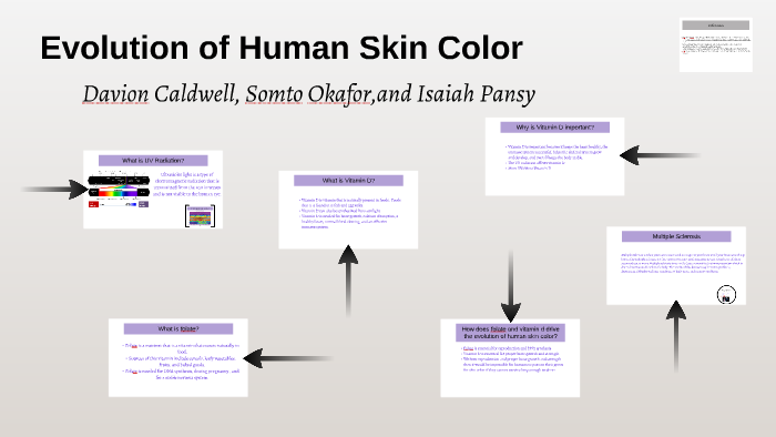 Evolution of Human Skin Color by Somoto Okaforr on Prezi