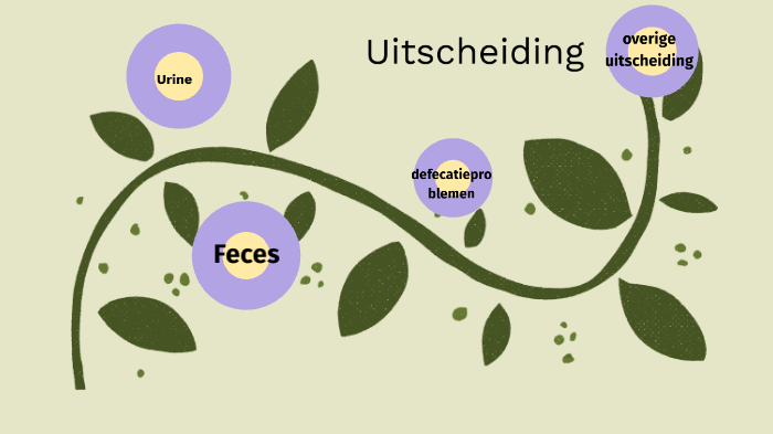 Uitscheiding by Jolanda van der Meer on Prezi