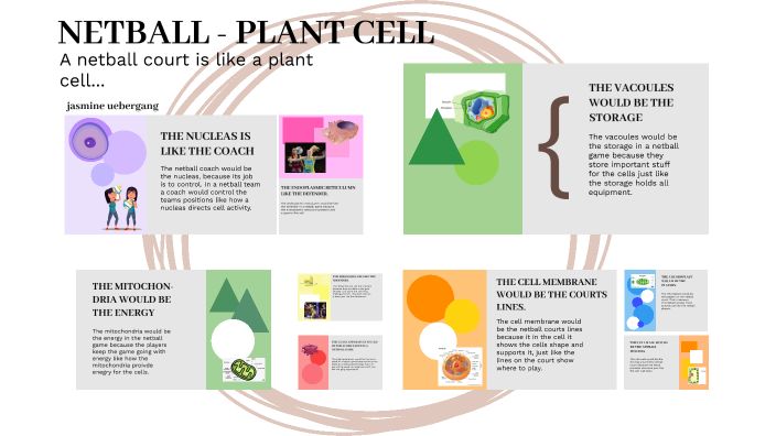 SCIENCE - NETBALL COURT (cell model) by jasmine uebergang on Prezi
