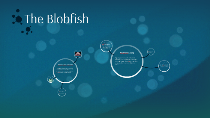 The Blobfish by Reece Reinke on Prezi