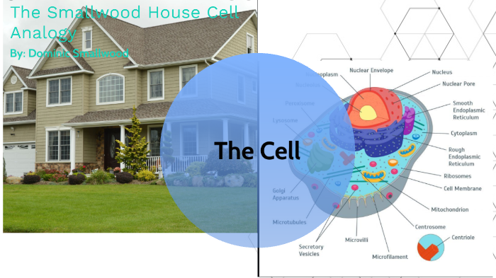 The Cell Analogy by Dominic Smallwood on Prezi