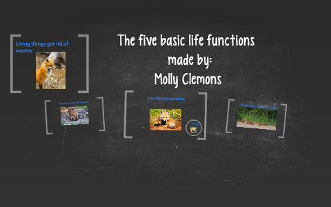 The five basic life functions by REBECCA BAGGETT on Prezi