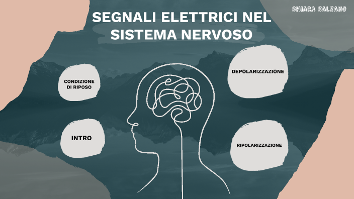 neuroni by Chiara Salsano on Prezi