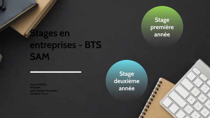 Stages en entreprises - BTS SAM V2 by Marine Pignol on Prezi