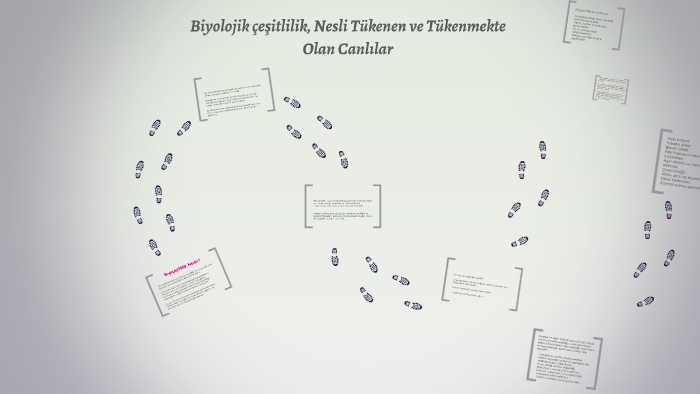 Biyolojik çeşitlilik, Nesli Tükenen ve Tükenmekte Olan Canlı by Mehmet ...