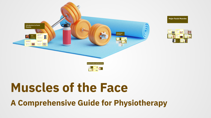Muscles of the Face by Aleena Anwar on Prezi