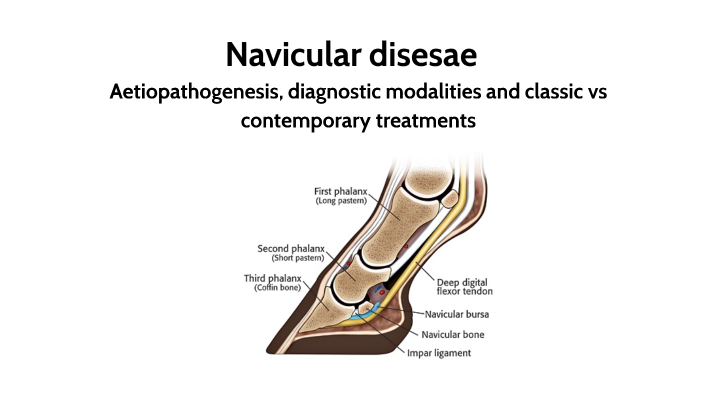 Navicular disease by Olebogeng Mogafe on Prezi