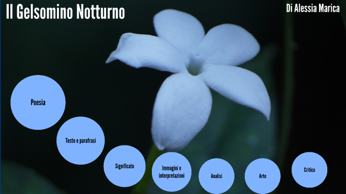 gelsomino notturno pascoli by Alessia Marica on Prezi