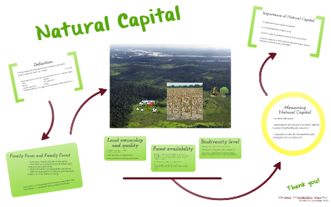 n by Margot Roux on Prezi