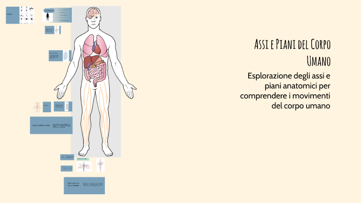 Assi e Piani del Corpo Umano by Angelica Manchisi on Prezi
