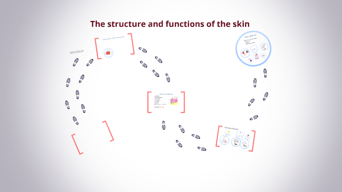 Beauty Therapy Level 2, Theory session 1 by Samantha Jinks on Prezi