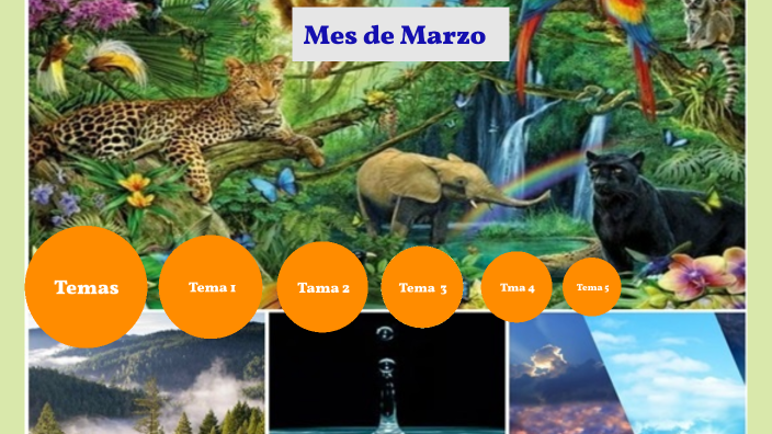 Medio Ambiente by Claudio Beltre on Prezi