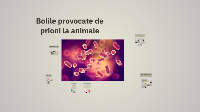 Bolile provocate de prioni la animale by Eveline Black on Prezi
