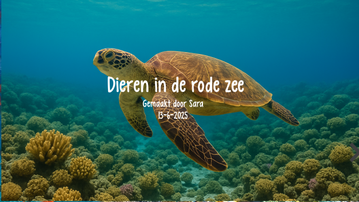 welke dieren leven in de rode zee by Imara Masaki on Prezi