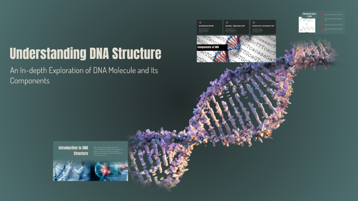 Understanding DNA Structure by Lara Moussawi on Prezi