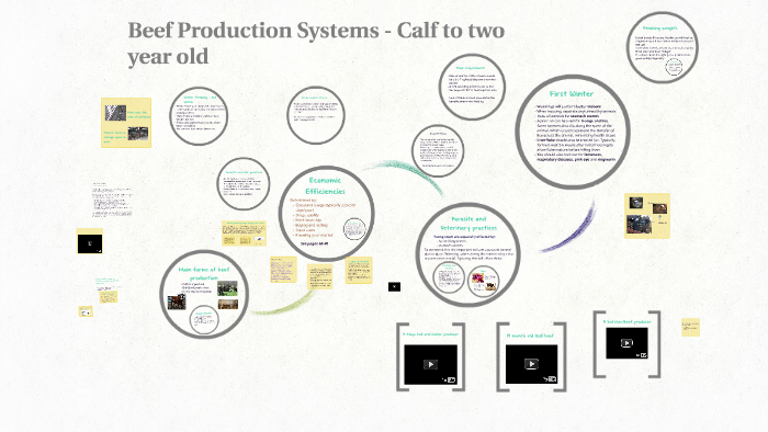 Beef Production Systems by Danny Moran on Prezi