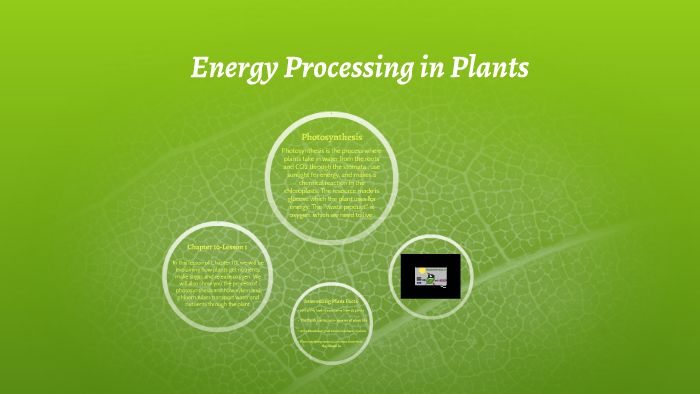 Chapter 10-Lesson 1 Energy Processing in Plants by Reece Aultman on Prezi